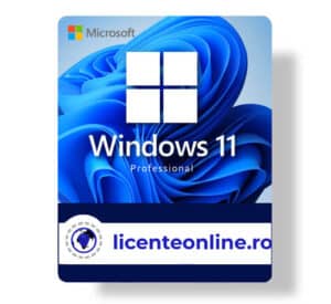 Licente Software | LicenteOnline.ro - LicenteOnline.ro